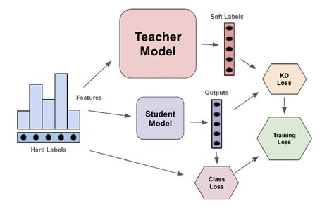 Figure 3 From Novel Knowledge Distillation Techniques For Visual Skin