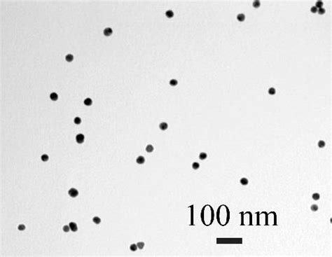 Tem Photograph Of Aunps Download Scientific Diagram