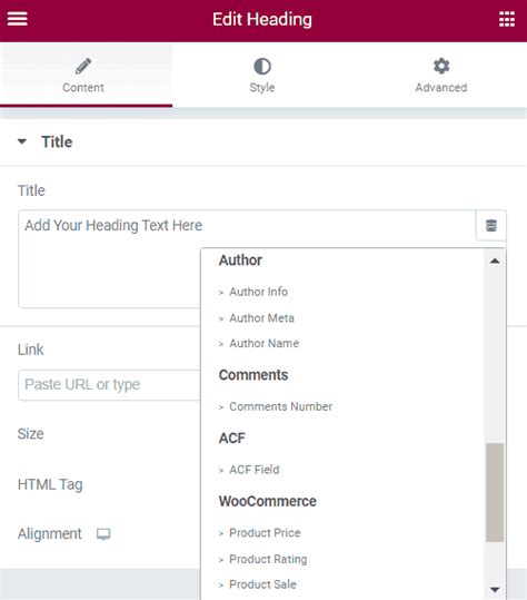 Elementor Integration With ACF WPServices