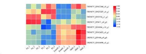Cluster Diagram Of Obp And Csp Gene Expression At Different