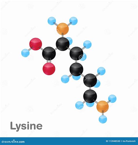Molecular Omposition And Structure Of Lysine Lys Best For Books And