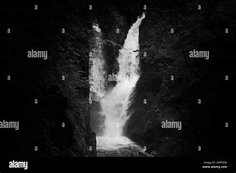 Stoch Ghyll Force Waterfall Lake District Uk In Black And White Stock