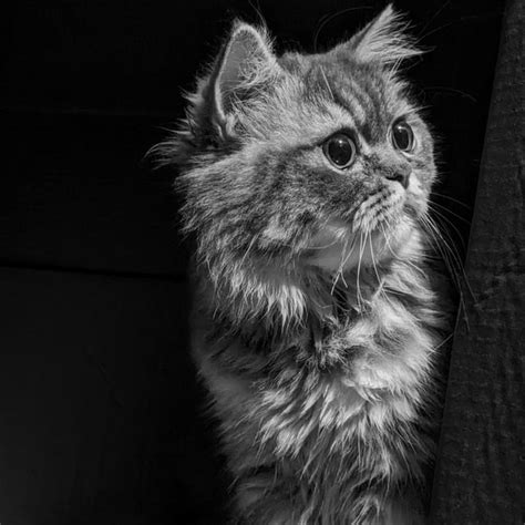 Pixel-4XL shots : r/pixelphotography