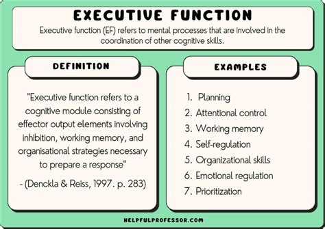15 Executive Function Examples 2025