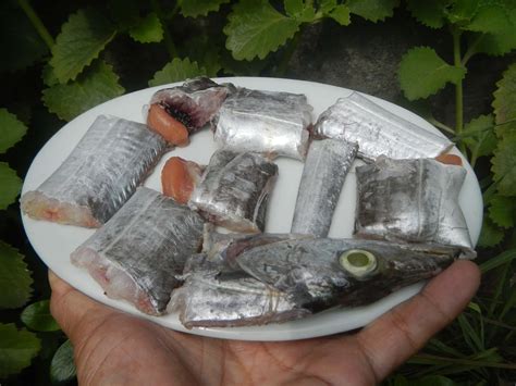 Download Cutlassfish Sliceson Plate Wallpaper