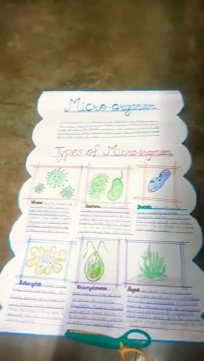 Science Microorganisms Project On Chat Paper ️ ️shorts Youtube