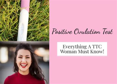Positive Ovulation Test Everything Ttc Woman Must Know
