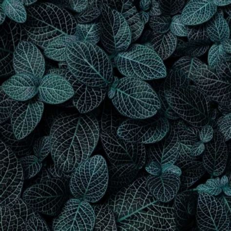 Cadens Closet Caden103 Poshmark