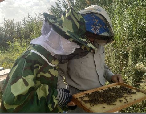 Pooling Intergenerational Beekeeping Knowledge Cgiar