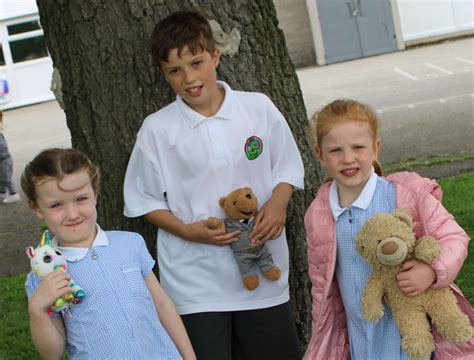 Teddy Bears Picnic Welcomes New Reception Starters Park Road