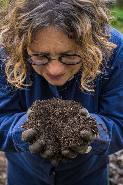 Kompost Anlegen Geld Sparen Bodenstruktur Verbessern