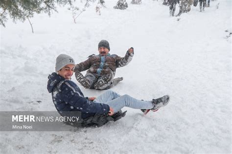 تصاویری از برف‌بازی در شهرستان های برف گیر استان کرمانشاه خبرگزاری مهر اخبار ایران و جهان