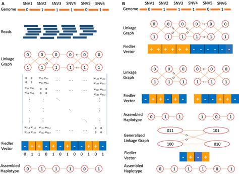 Illustration Of Spechap Algorithm A An Example With 6 Variants Loci