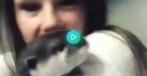 This Dentist Having An Affair Album On Imgur