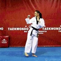 Taekwondo S Get The Best  On Er