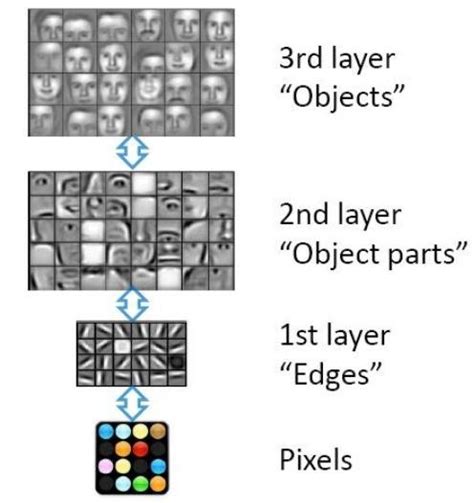 Layered Representation Of A Visual Tracking System In Face Recognition Download Scientific