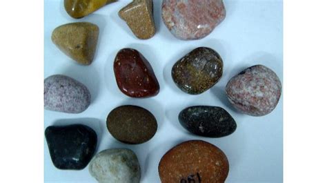 Assorted Pebbles 7 Rave Inc
