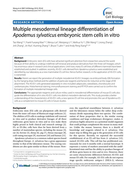 Pdf Multiple Mesodermal Lineage Differentiation Of Apodemus