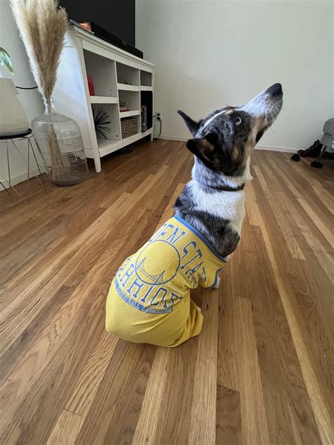 Tapping Into The Power Of The Corg Webelieve R Warriors