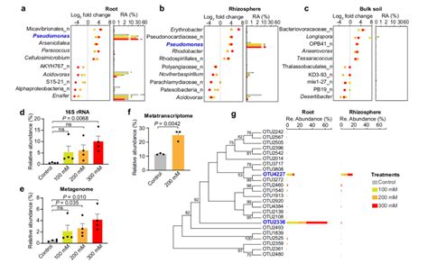 宏基因组宏转录组双剑合璧，让您的研究脱颖而出 知乎