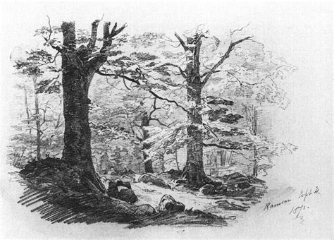 Forest Scene Drawing At Explore Collection Of
