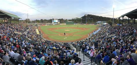 Myrtle Beach Pelicans Visit Myrtle Beach