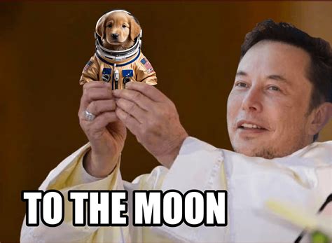 Pup On Solana Puppo Rmemecoins