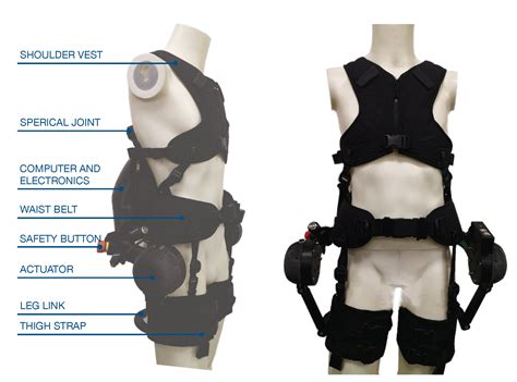 Passive Back Support Exoskeleton At Roy Breeden Blog