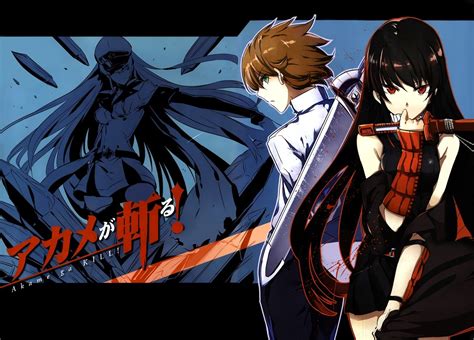 243343 1920x1319 Tatsumi Akame Ga Kill Rare Gallery Hd Wallpapers