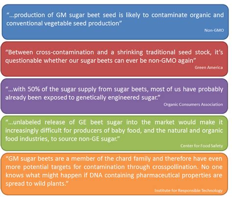 Myth Busting There Is No Such Thing As Gmo Sugar Genetic Literacy
