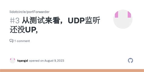 从测试来看，udp监听还没up · Issue 3 · Lidotcircleportforwarder · Github