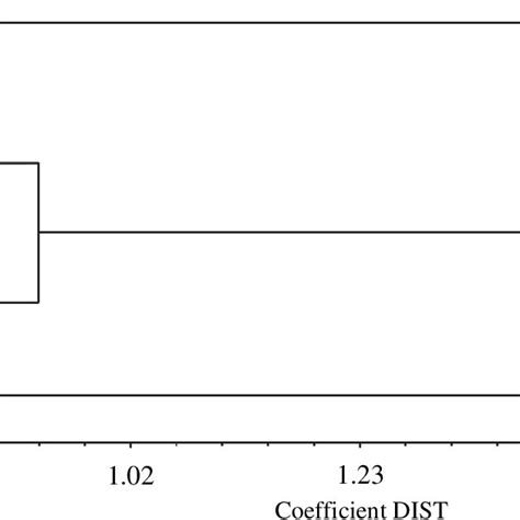 Dendrobium Spp Dendrogram Based On Quantitative Morphological