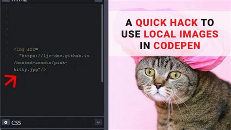 A Quick Hack To Use Local Images In Codepen Codenewbie Community 🌱