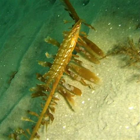 Mark Dinkel Posted On Linkedin