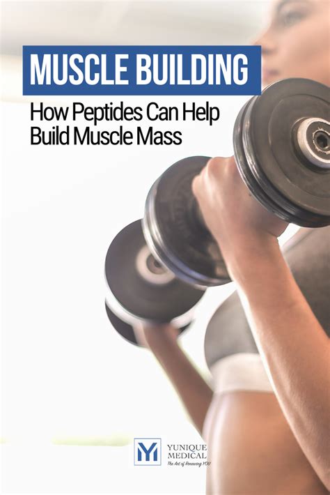 Peptides Types Applications Advantages And Safety