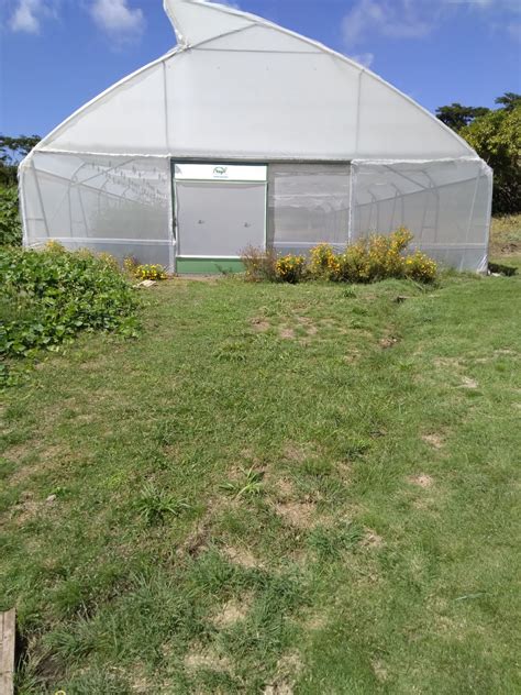 Building Capacity In Protected Agriculture In Grenada Caribbean Agricultural Research