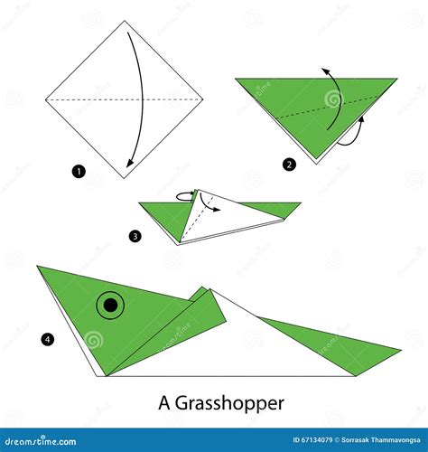Step By Step Instructions How To Make Origami A Grasshopper Stock Vector Illustration Of
