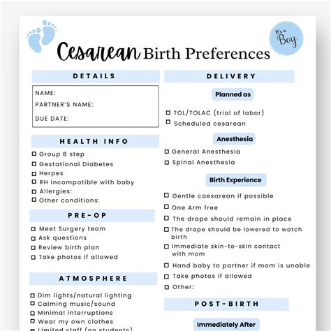 Editable C Section Birth Plan Template For Boy Pastel Blue Cesarean