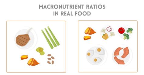Infographic Macronutrient Ratios In Real Food Real Food Recipes Infographic Keto Paleo Diet