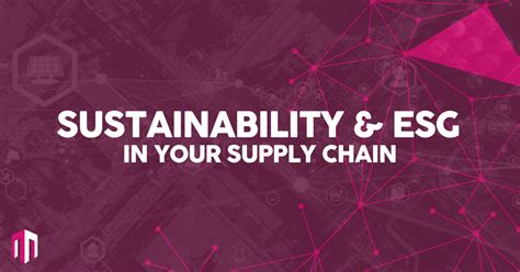 Sustainability And Esg In Your Supply Chain