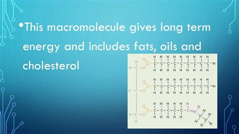 Four Different Segments Of A Dna Molecule Are Represented Below Ppt