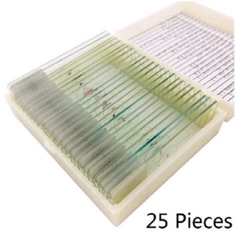 25 Pc Prepared Microscope Slide Kit — Au