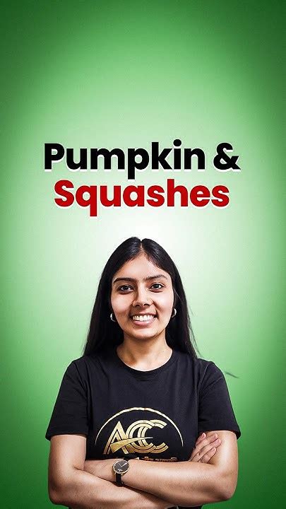 Pumpkin And Squashes Youtube