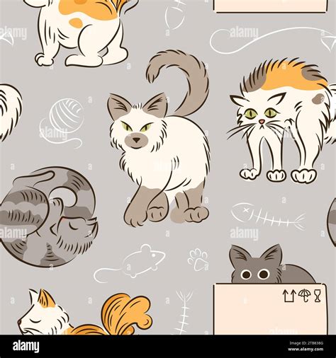 Cute Cat Poses Cute Cat Pose Rcats