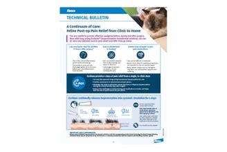 Zorbium® Buprenorphine Transdermal Solution For Cats