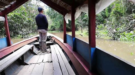 Sofia Abe Silva Presentando La Selva 2019 Youtube