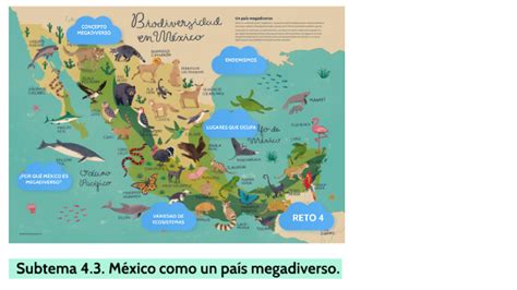 Tema 4 Subtema 4 3 México Como País Megadiverso By Ariadna Santa Anna