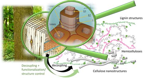 I Materials Biorefinery Wwsc