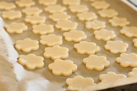 עוגיות לילדים מתכון בצק עוגיות נהדר לילדים כל כך נוח לעבודה