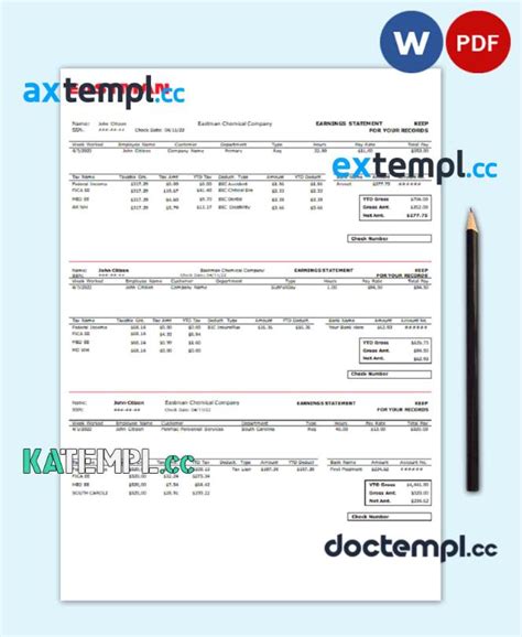 Sample Usa Chemical Industry Earning Statement Template In Word And Pdf